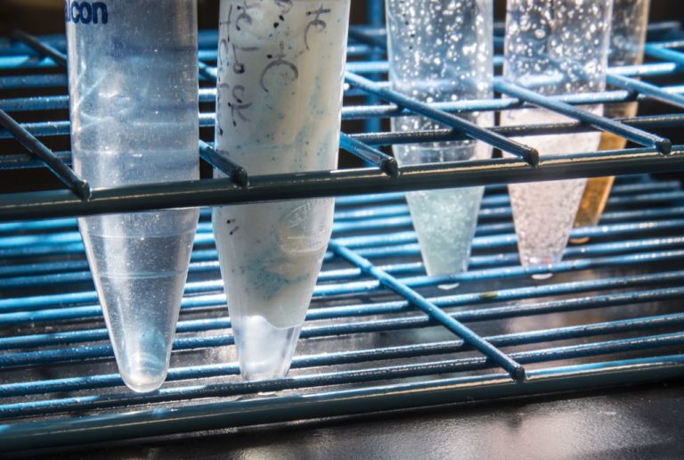 20 Years of Adopt-a-Beach Data Collection: What Have We Learned ...