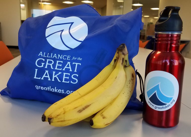 7 Ways You Can Keep Plastic Out of the Great Lakes - Alliance for the ...