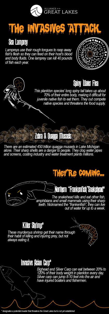 The Invasives Attack - Alliance for the Great Lakes