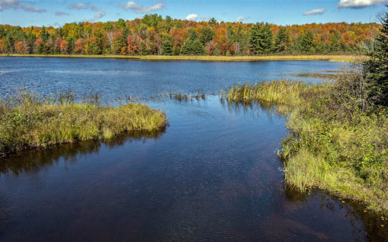 Learn - Alliance for the Great Lakes