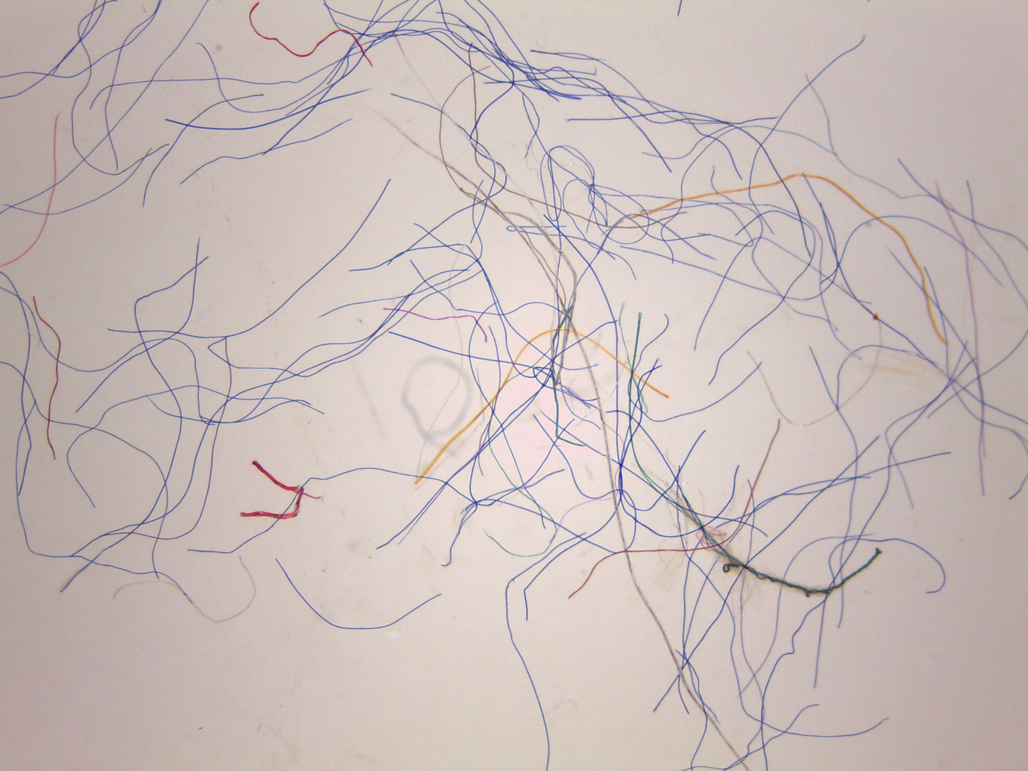 Great Lakes Scientists Support Illinois Bill to Protect Drinking Water ...